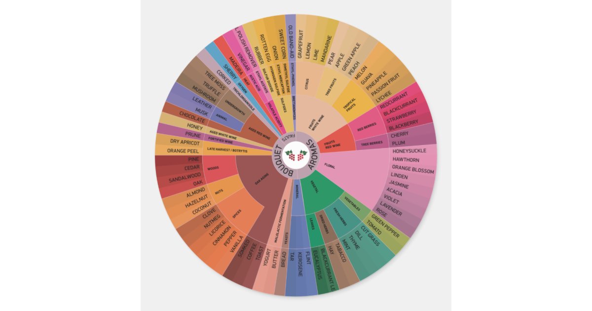 Wine Aroma Wheel Classic Round Sticker | Zazzle