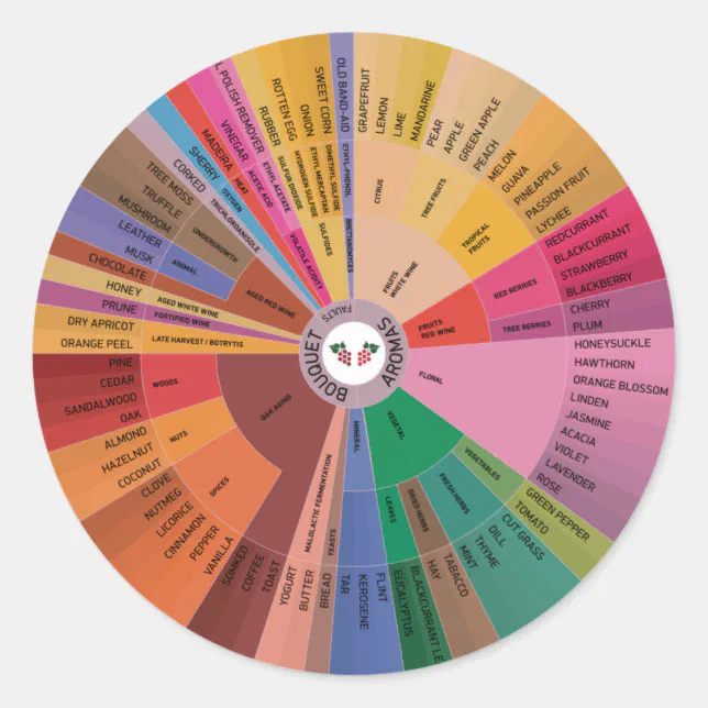 Wine Aroma Wheel Classic Round Sticker | Zazzle