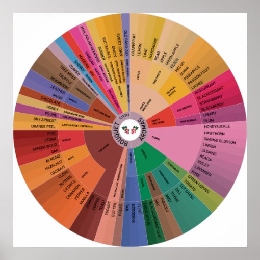 Wine Aroma Wheel Poster | Zazzle