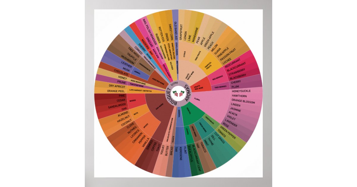 Wine Aroma Wheel Poster | Zazzle