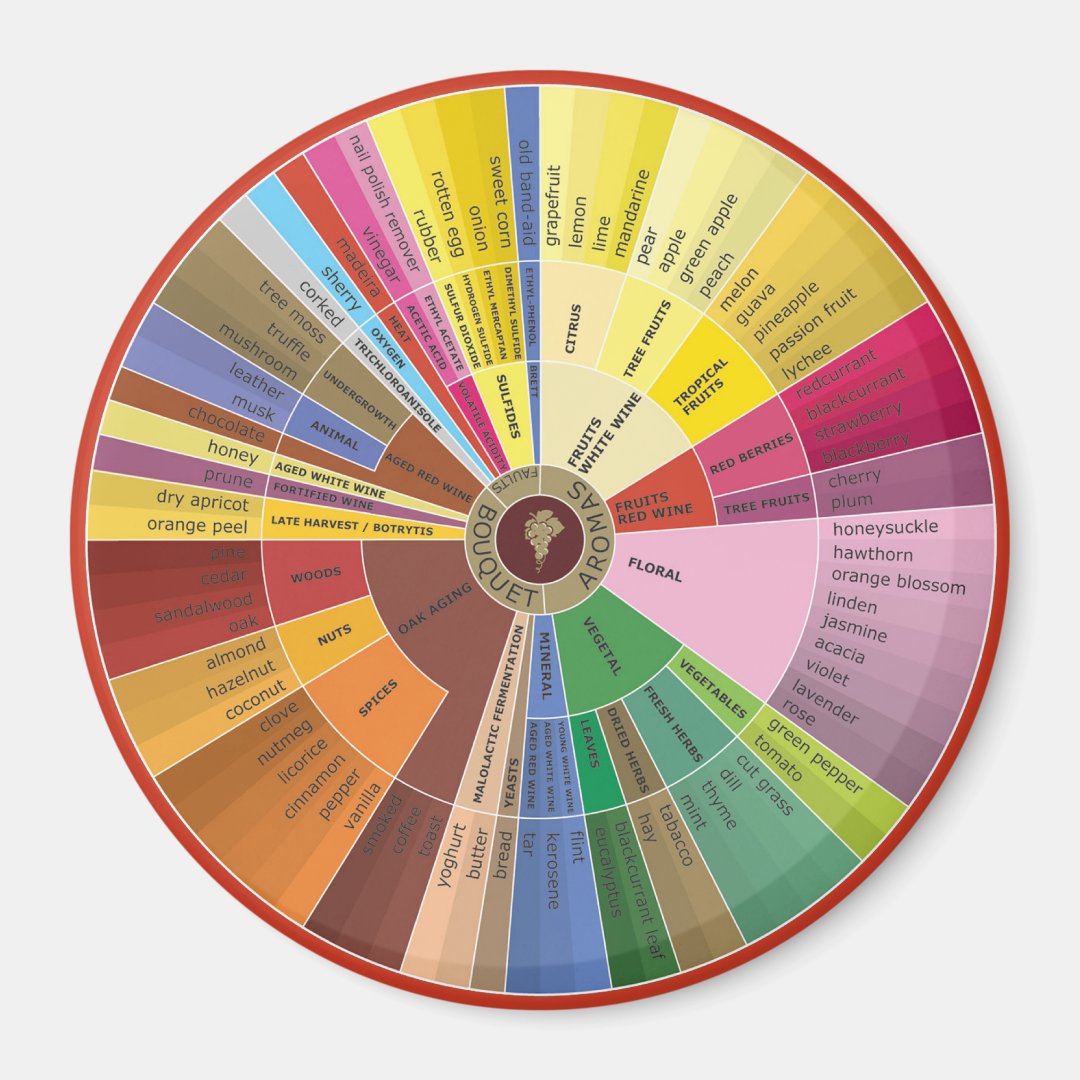 Wine Aromas Wheel Magnet | Zazzle