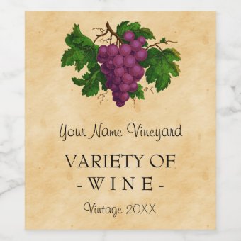 Wine Template Elegant Vintage Purple Grapes Custom Wine Label | Zazzle