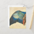Wing of a Blue Roller by Albrecht Durer Postcard | Zazzle