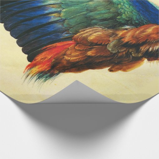 WING OF AN EUROPEAN ROLLER Durer Wrapping Paper | Zazzle