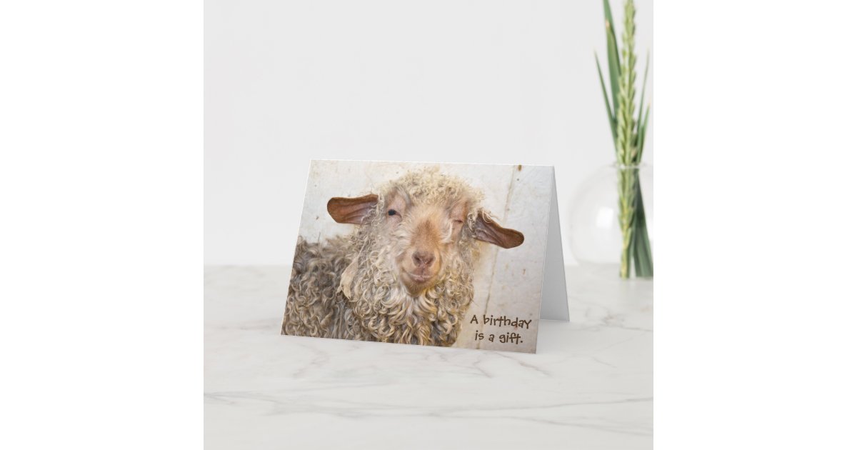 winking goat for humorous birthday card | Zazzle
