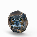 Winking Owl Award | Zazzle