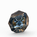 Winking Owl Award | Zazzle