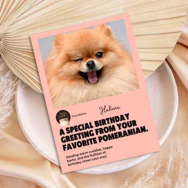 Winking Pomeranian Birthday Card | Zazzle