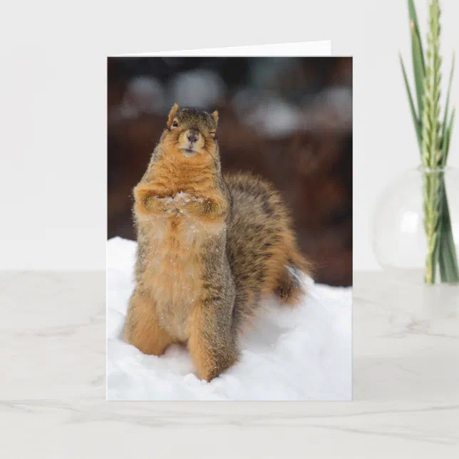 Winking Squirrel Card | Zazzle