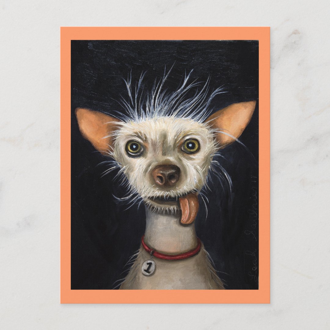 Winner of the Ugly Dog Contest 2011 Postcard | Zazzle