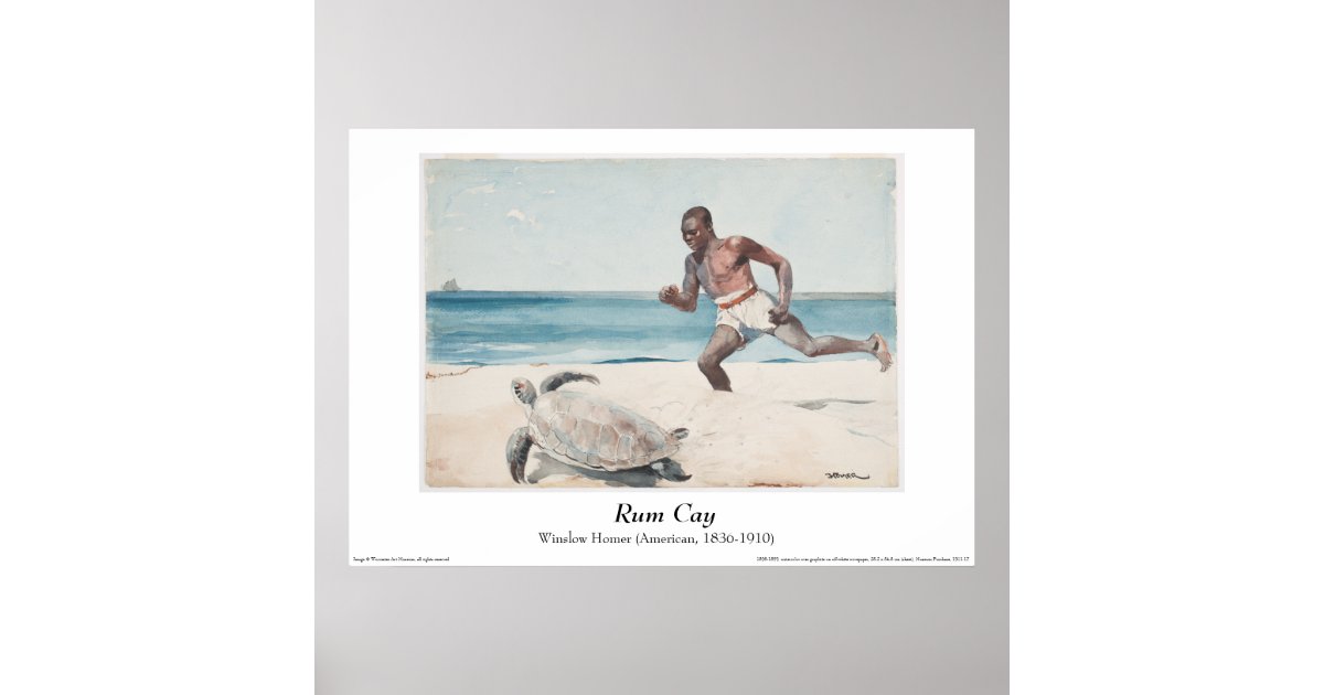 Winslow Homer - "Rum Cay" Poster | Zazzle