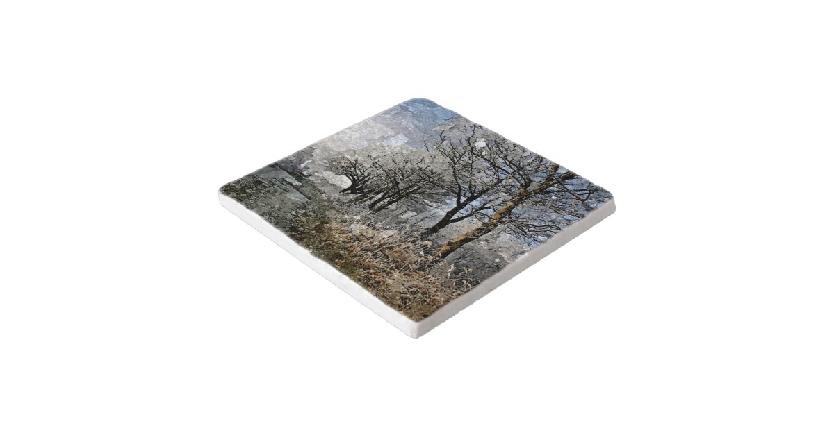 Winter Bayou Trees Landscape Watercolor Painting Trivet | Zazzle