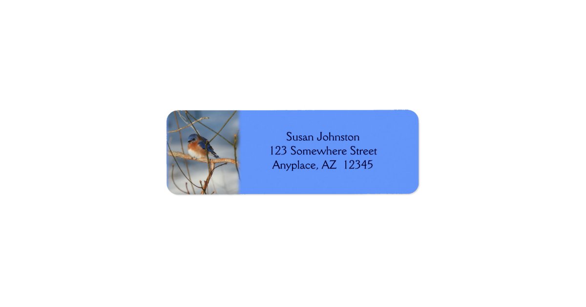 Winter Bluebird Animal Address Label | Zazzle