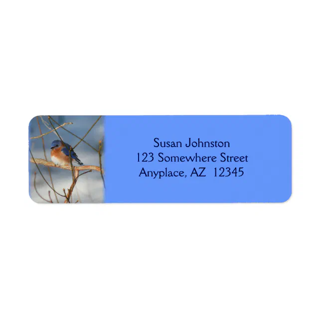 Winter Bluebird Animal Address Label | Zazzle
