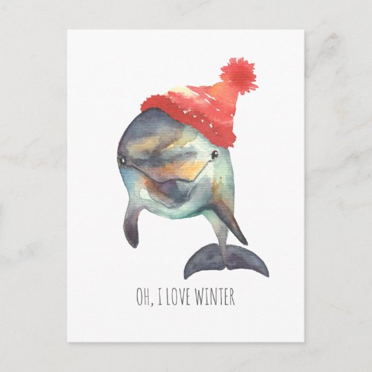 "Winter dolphin" postcard | Zazzle.com