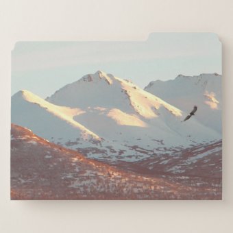 Winter Eagle File Folder | Zazzle
