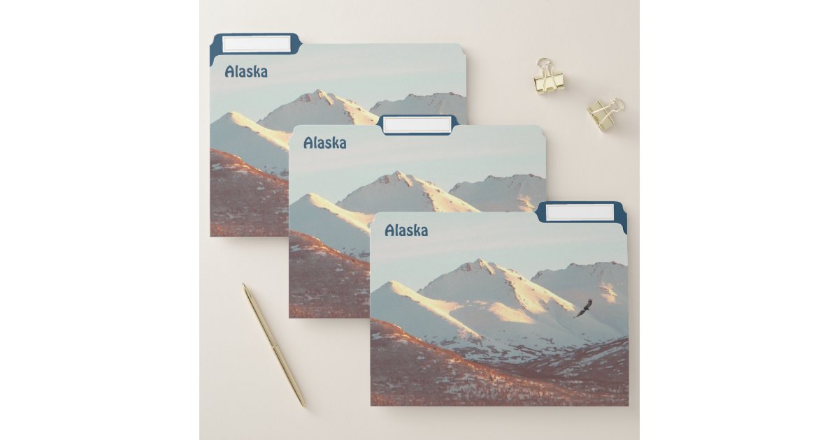Winter Eagle File Folder | Zazzle