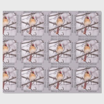 Winter Female Cardinal Christmas Wrapping Paper | Zazzle