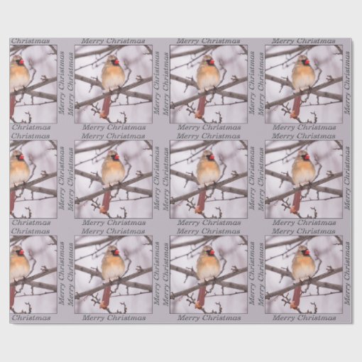 Winter Female Cardinal Christmas Wrapping Paper | Zazzle