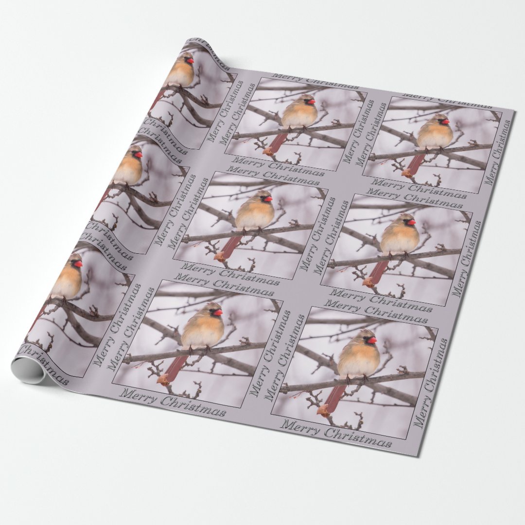 Winter Female Cardinal Christmas Wrapping Paper | Zazzle