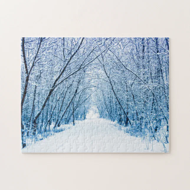 Winter Forest Path Jigsaw Puzzle | Zazzle