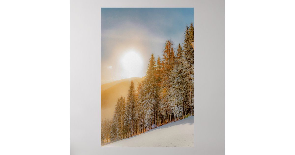 Winter forest trees #17 poster | Zazzle