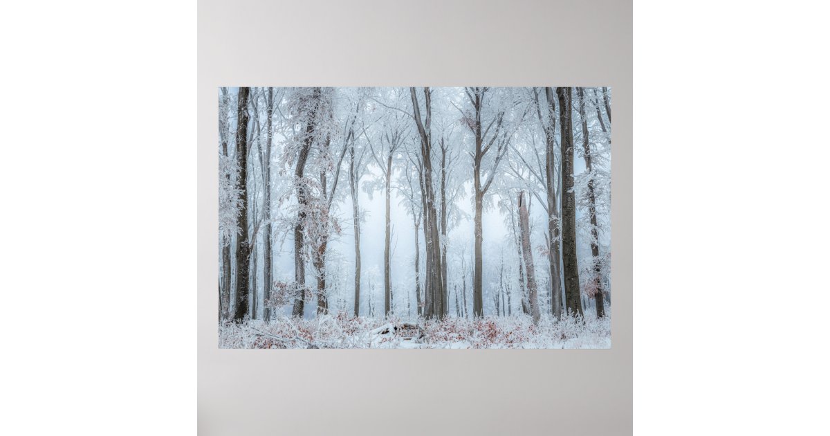 Winter forest trees #21 poster | Zazzle