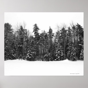 Winter Scene Posters & Prints | Zazzle