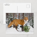"Winter Fox" Holiday Postcard | Zazzle