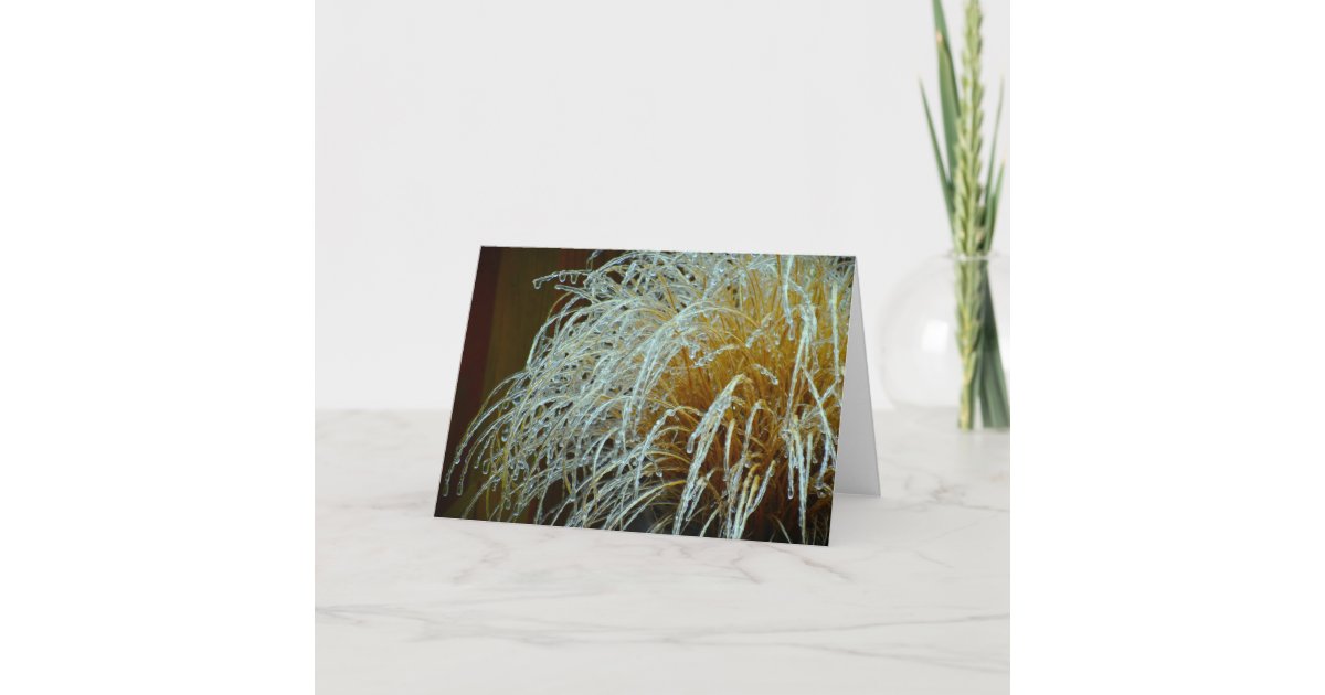 Winter Freeze, card | Zazzle
