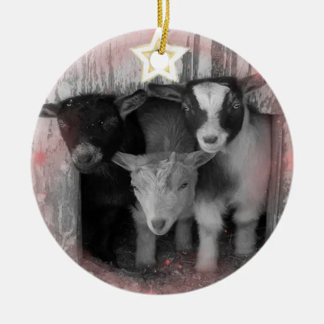 WINTER GOAT BABIES CHRISTMAS ORNAMENT | Zazzle