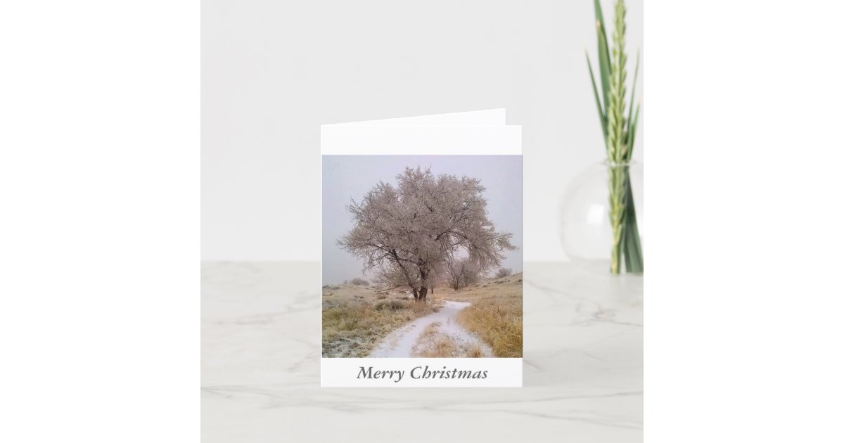 Winter in Colorado Christmas Card | Zazzle