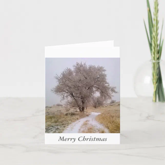 Winter in Colorado Christmas Card | Zazzle