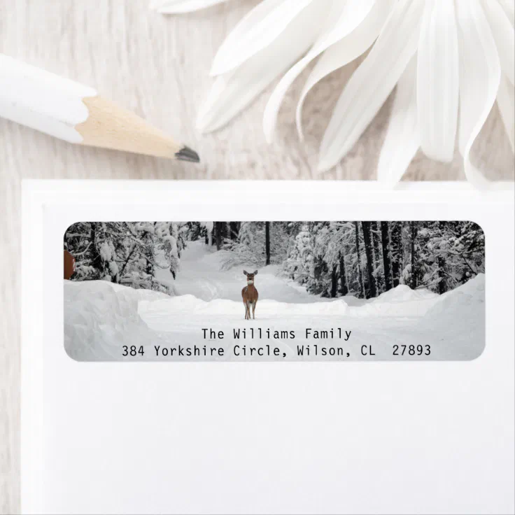 Winter Landscape Photo Return Address Label | Zazzle