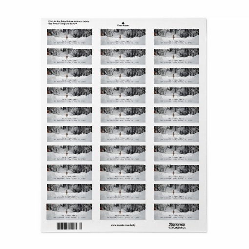 Winter Landscape Photo Return Address Label | Zazzle