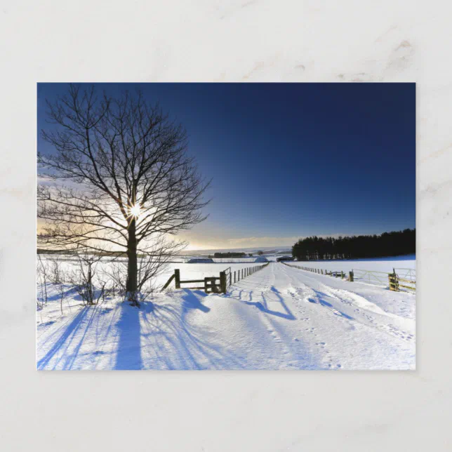 Winter Landscape Postcard | Zazzle