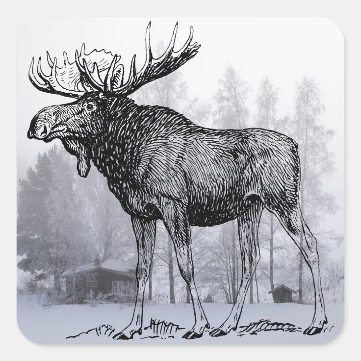 Winter Moose Square Sticker | Zazzle