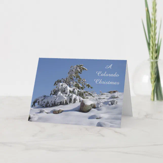 Winter Pine Colorado Christmas Card | Zazzle
