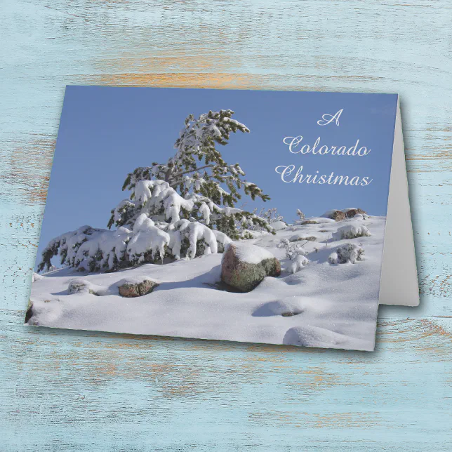 Winter Pine Colorado Christmas Card | Zazzle