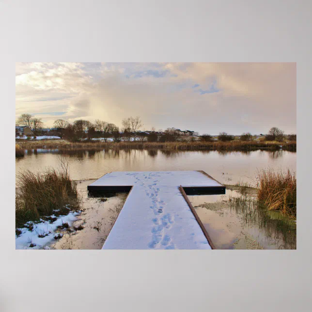Winter Pond Poster | Zazzle