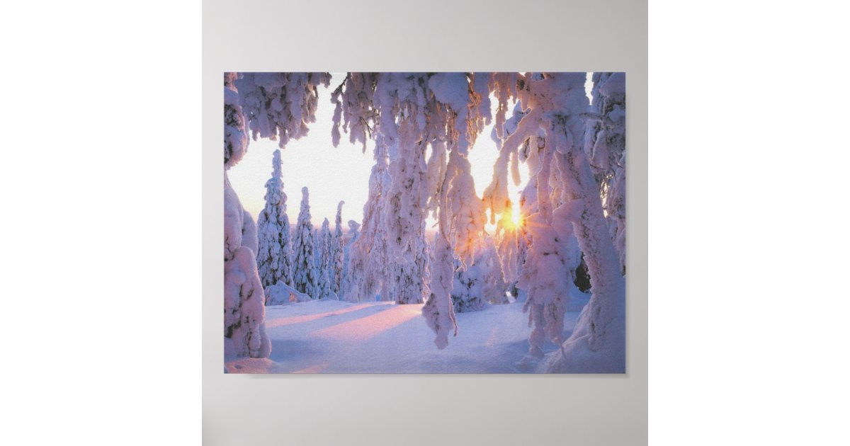 Winter Poster | Zazzle