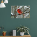 Winter Red Cardinal Poster | Zazzle