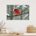 Winter Red Cardinal Poster | Zazzle