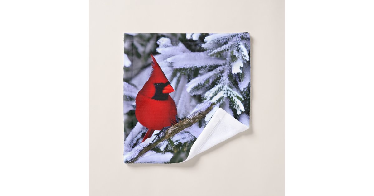 Winter Red Cardinal Wash Cloth | Zazzle