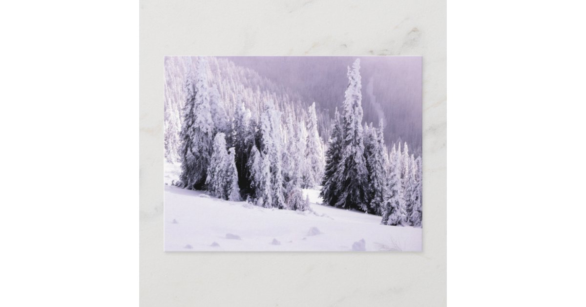Winter scene postcard | Zazzle