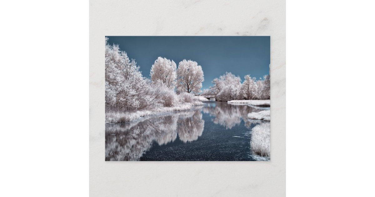 Winter scene postcard | Zazzle