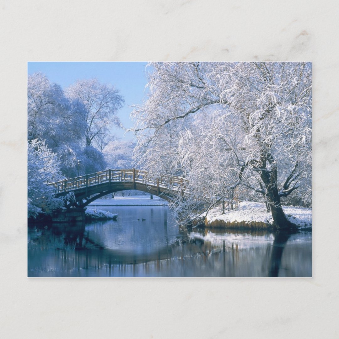 Winter scene postcard | Zazzle