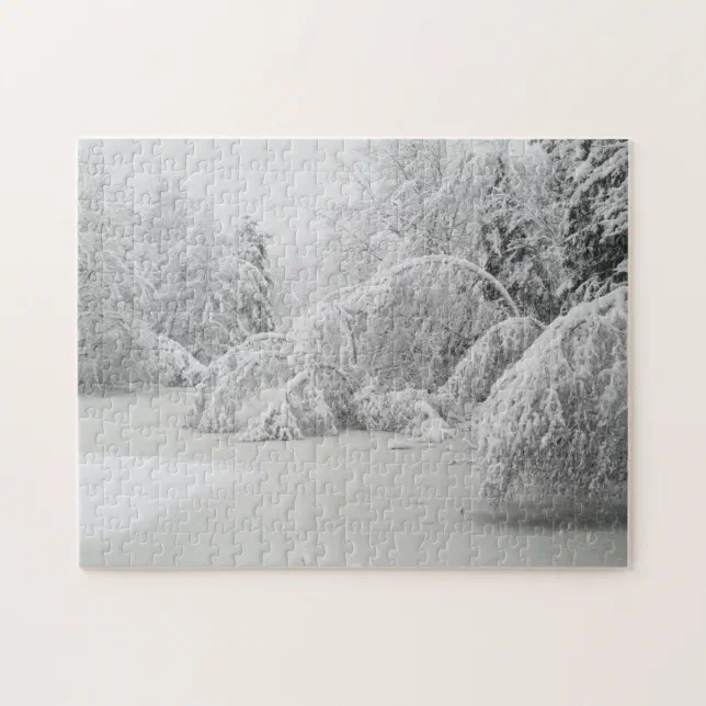 Winter Scenery Puzzle | Zazzle