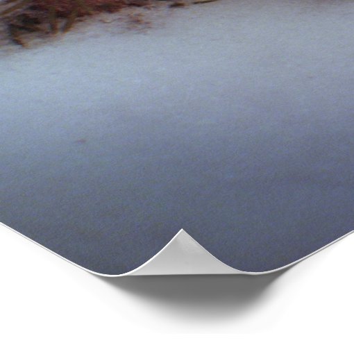 Winter - Short-Tailed Weasel Poster | Zazzle