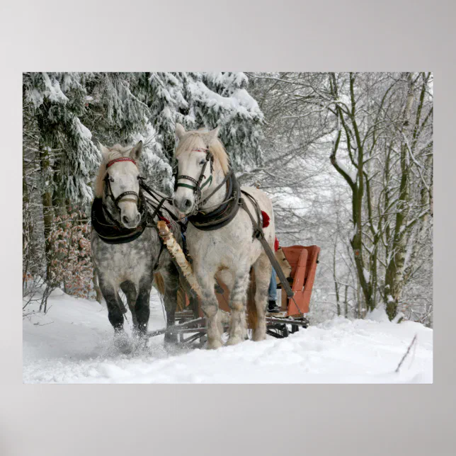 Winter Sleigh Ride Color Image Poster | Zazzle